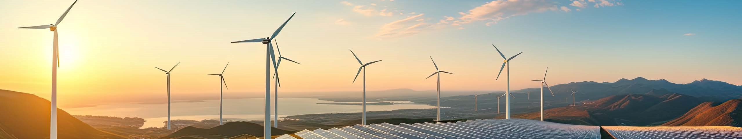 Guy Carpenter’s Tony Gallagher On Supporting Renewable Energy