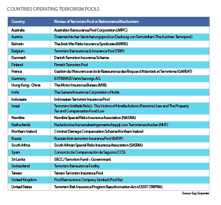 Government Pools Remain Integral Risk Management Tools